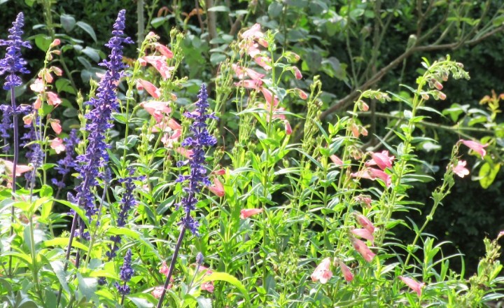 ART QUILT – RAINBOW HARE